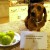 50 Guilty Dogs With Written Signs On What They Did is Wrong - The Wondrous