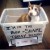50 Guilty Dogs With Written Signs On What They Did is Wrong - The Wondrous