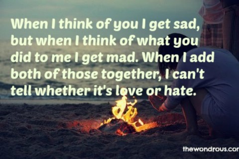 The 40 Best I Hate You Quotes Of All Time