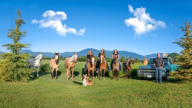 Farmyard Faces: Tasha Hall's Heartwarming Portraits of Farm Animals