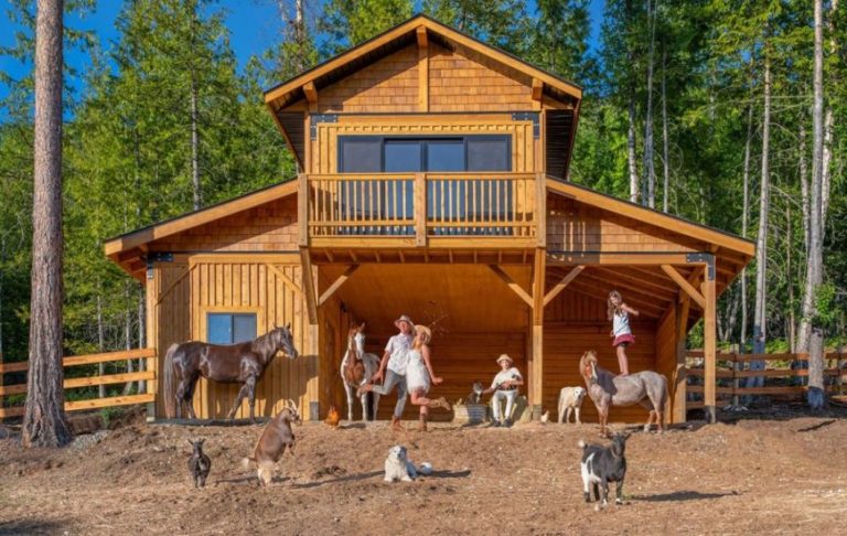 Farmyard Faces: Tasha Hall's Heartwarming Portraits of Farm Animals