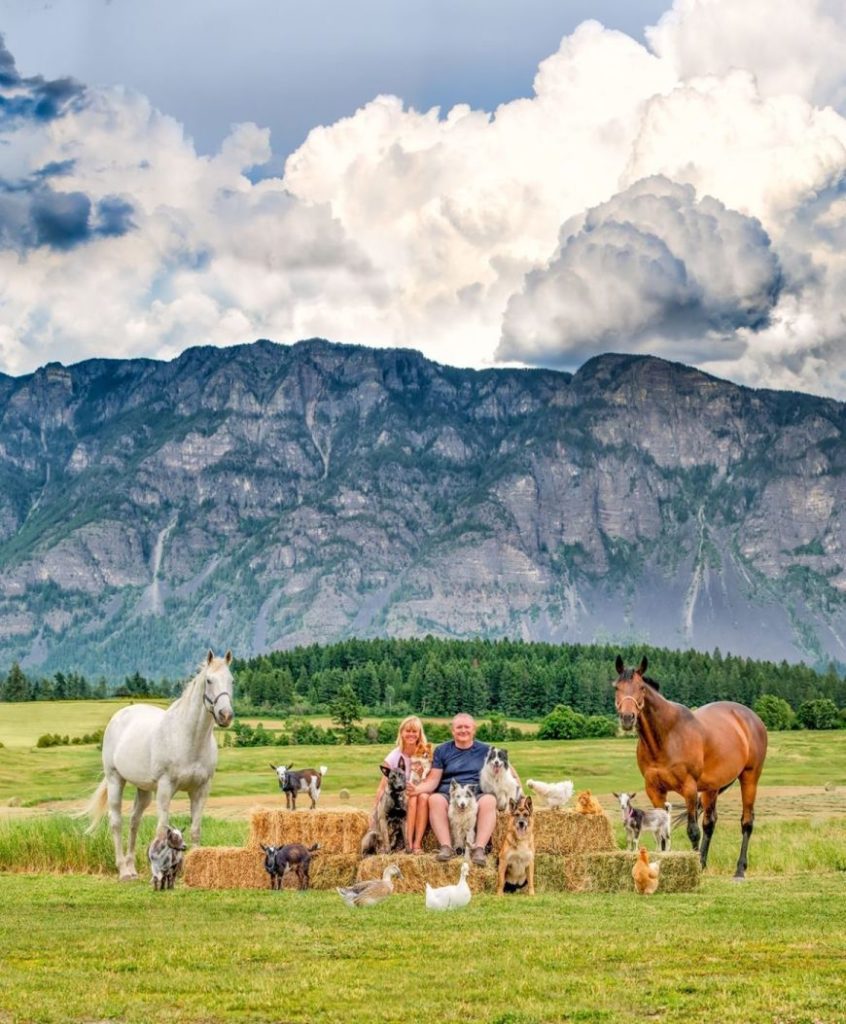Farmyard Faces: Tasha Hall's Heartwarming Portraits of Farm Animals